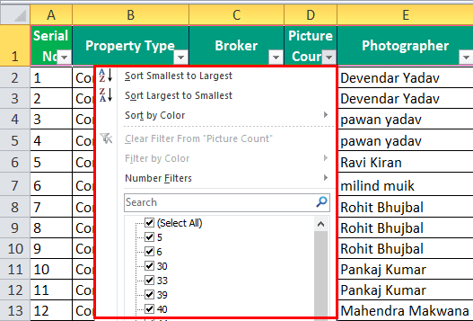 AutoFilter in Excel - Step-by-Step Guide (with Example)