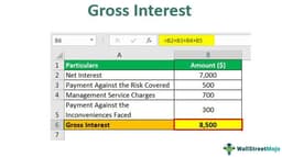 Gross Interest (Meaning, Examples) | How to Calculate?
