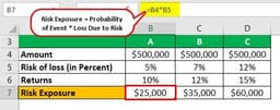 Risk Exposure (Definition, Types, Examples) | How to Calculate?