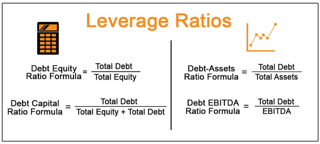 Designanel Debt To Asset Ratio Definition