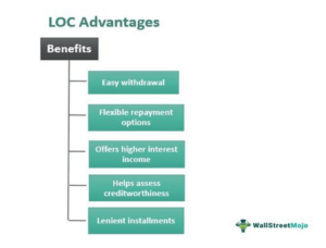 Line of Credit (LOC) - Meaning, Types (Home Equity, Business)