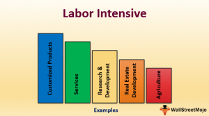 Labor Intensive (Meaning) | Examples of Labor Intensive Industries