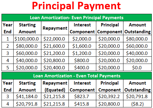 Principal Payment Definition | (Formula, Examples) Types