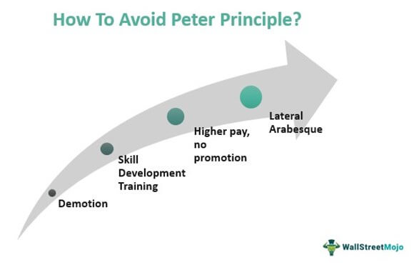 Peter Principle Meaning Examples Theory How It Works Peter Principle Meaning Examples Theory How It Works