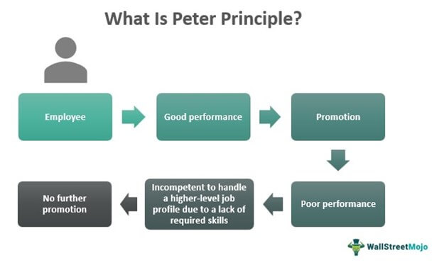 Peter Principle Meaning Examples Theory How It Works Peter Principle Meaning Examples Theory How It Works