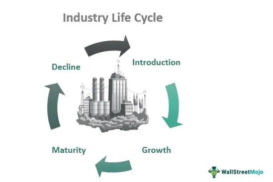 Industry Life Cycle - Definition, Examples, 4 Stages