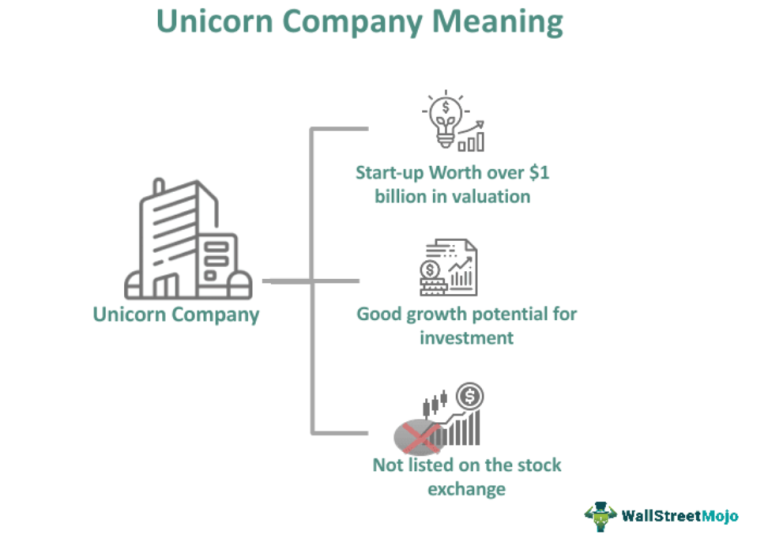 Unicorn Company - What Is It, Valuations, Examples, Pros & Cons