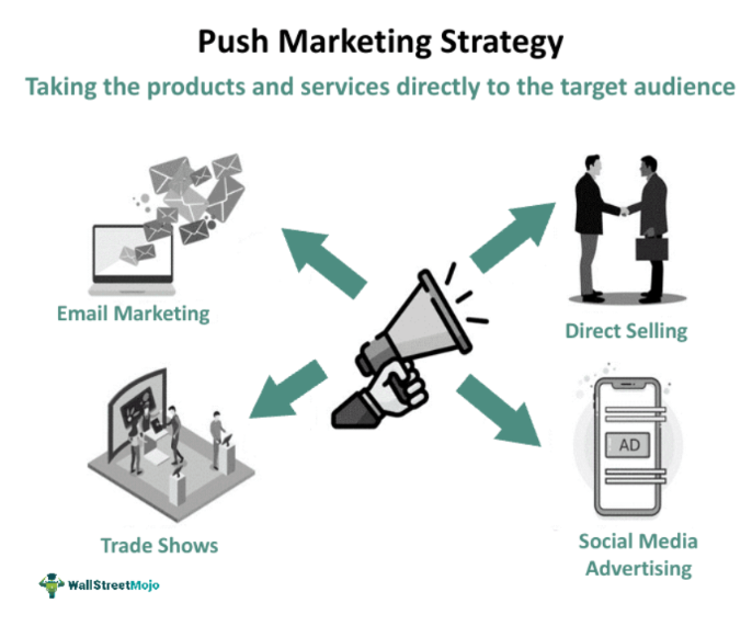 Push Marketing Strategy What Is It Examples Pros Cons Types