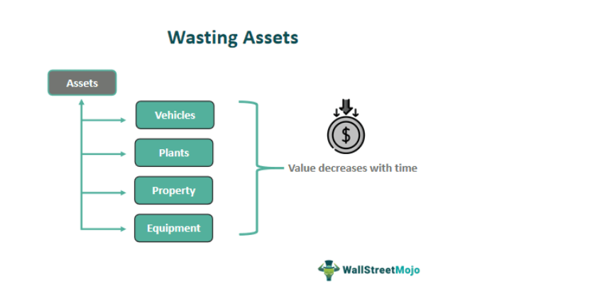 Wasting Asset - What Is It, Examples, Problems, Solutions