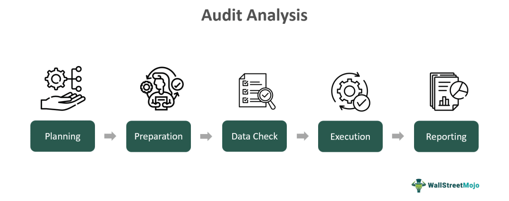 Audit Analytics - What It Is, Examples, Benefits
