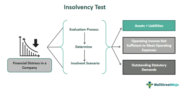 Insolvency Test - What Is It, Explained, Examples, Methods