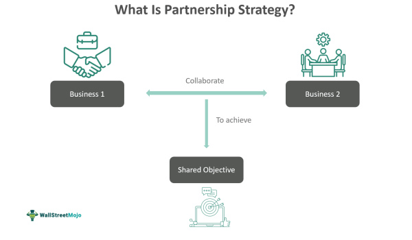 Partnership Strategy- What It Is, Examples, How To Develop, Types