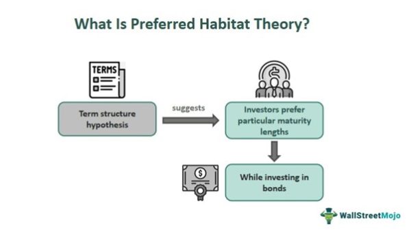 Preferred Habitat Theory - Meaning, Explained, Examples